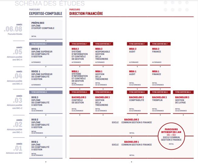 Schéma des études - IHECF